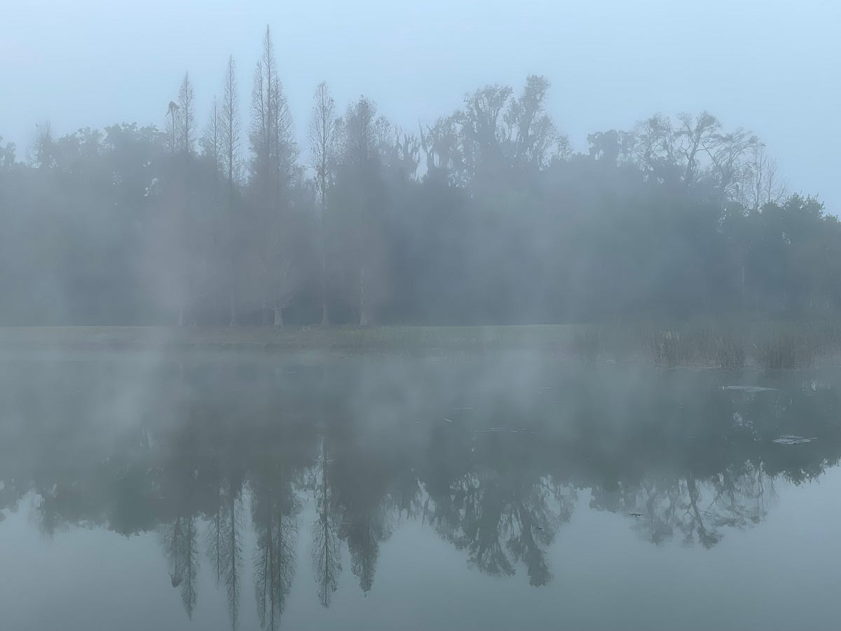 When the Fog Sets In - Write Under the Moon - Medium