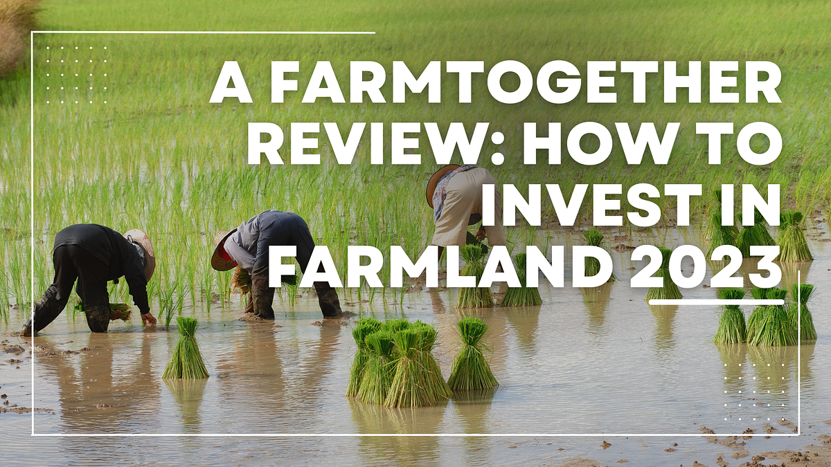 A FarmTogether Review: How to Invest in Farmland 2023 | by Brogan ...