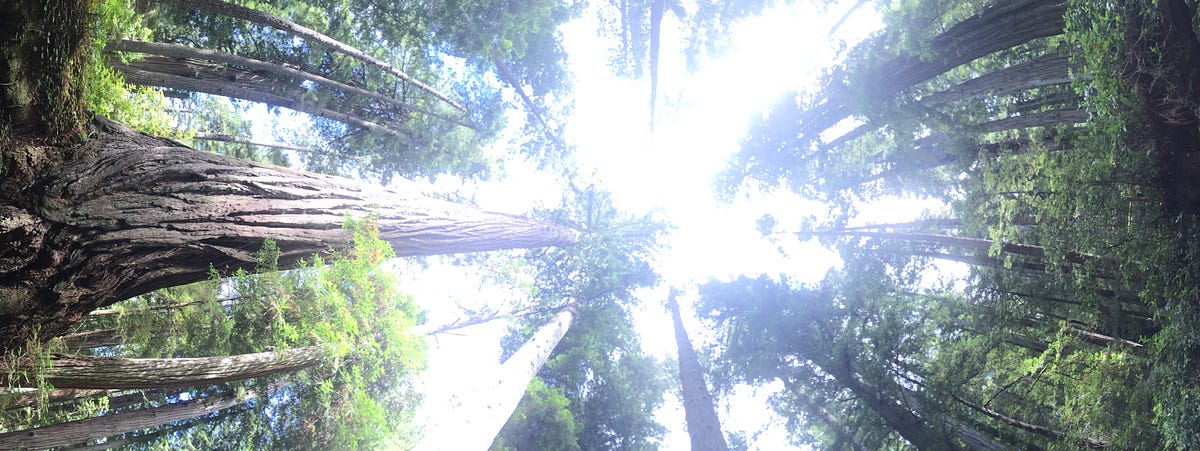 Abstractive Summarization For Data Augmentation By Aaron Briel Towards Data Science