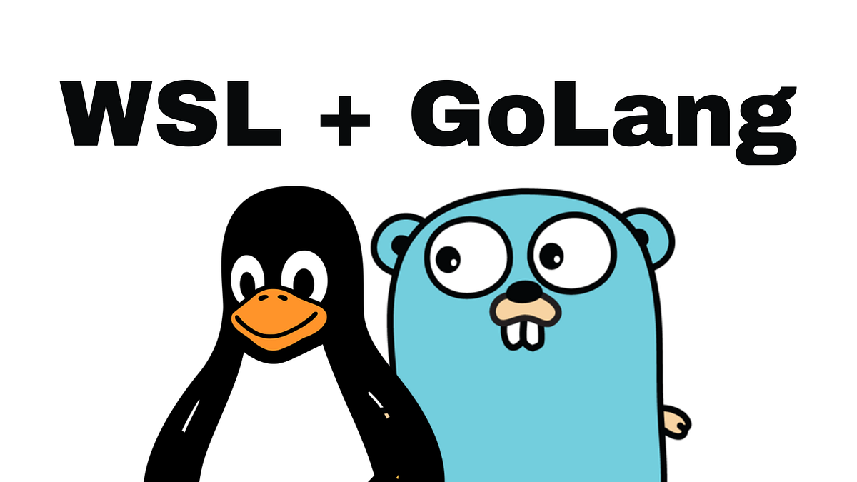 Configurando Golang no WSL. Como desenvolvedores sabemos que… | by Lucas Queiroz | Medium