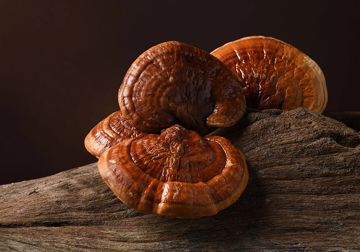 Reishi & Cordyceps Benefits in 6-in-1 Mushroom Gummies | by uniquenoo ...