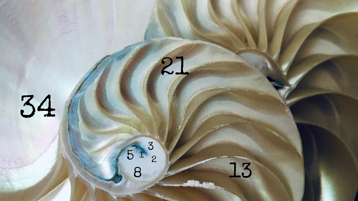 Practical Fibonacci-Part II. The Journey to Predictability | by Julee ...