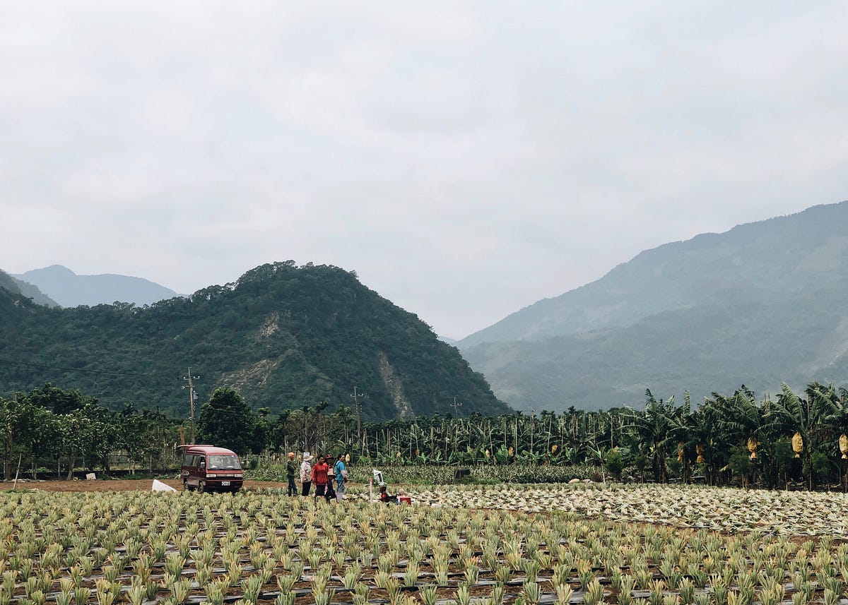 Do you have breath?. Thoughts On Time Spent with the Bunun… | by Abby ...
