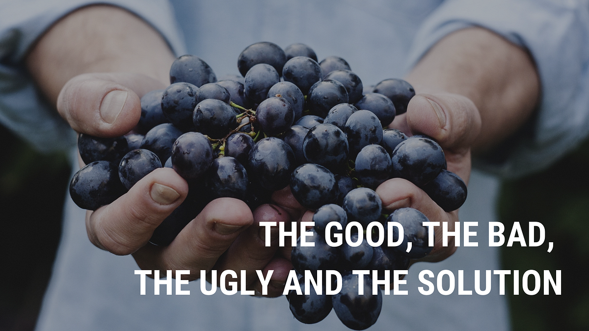 Food Protocol for Epstein Barr Virus: The Good, the Bad, the Ugly and ...