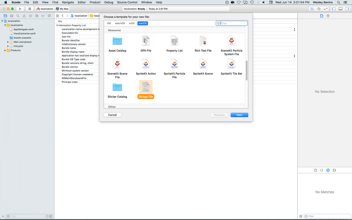 How to Localize your (i/watch/mac)OS Bundle Display Name | by Wesley Bevins | Medium