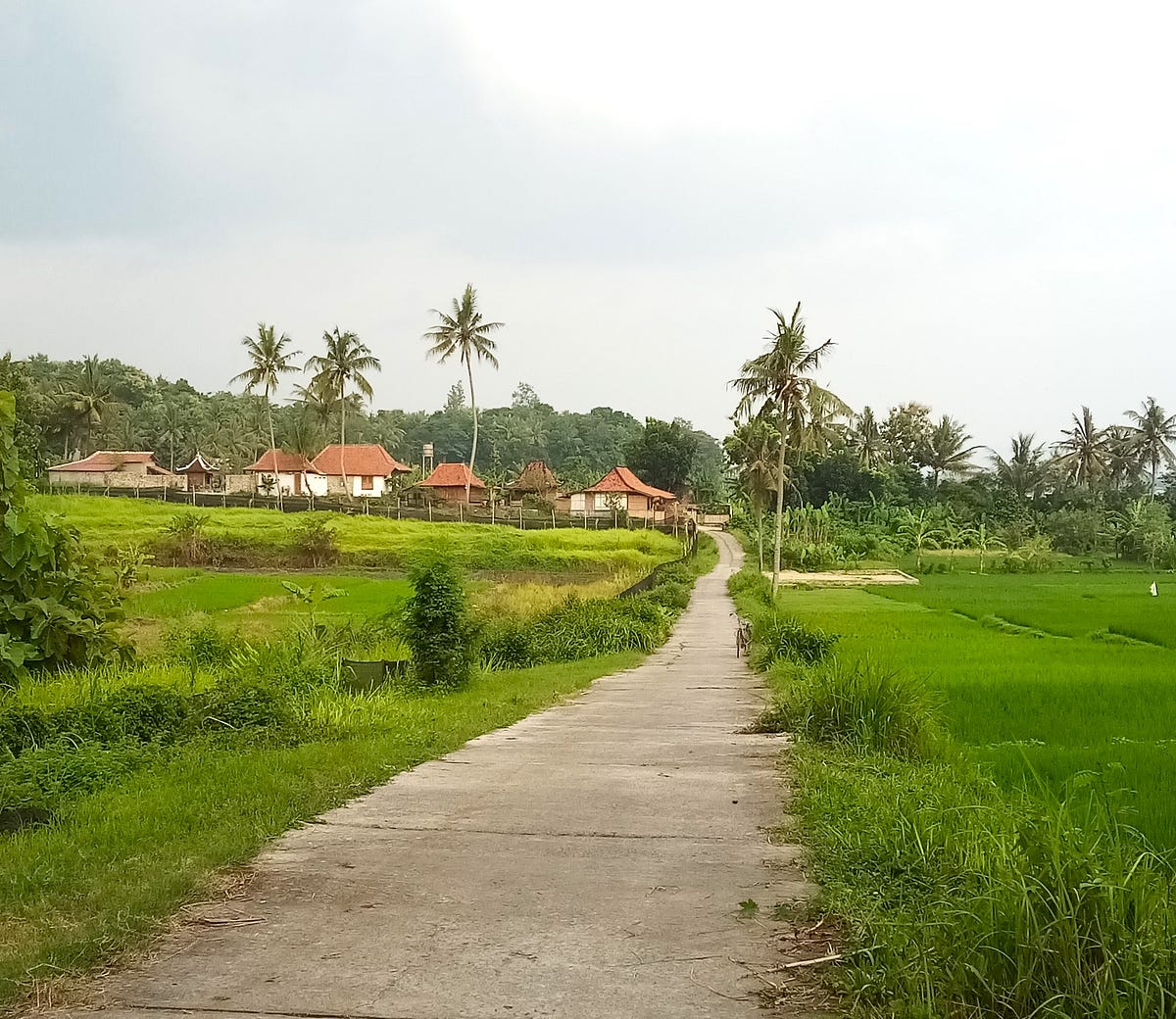 Catfish and Childhood Distraction | by Tjahaja | The New Outdoors | Feb ...