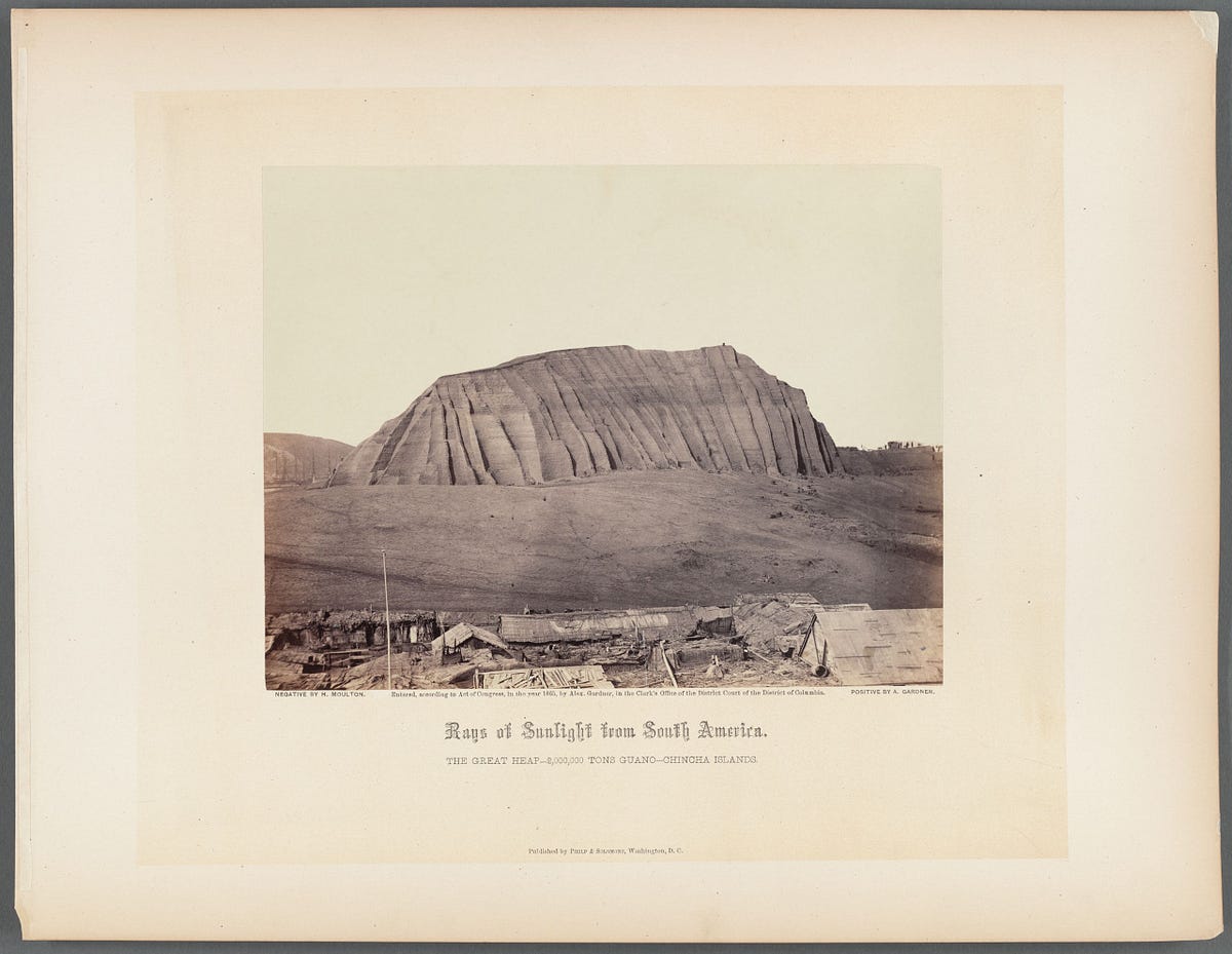 When the World Ran on Bird Poop. The era when a literal mountain of ...