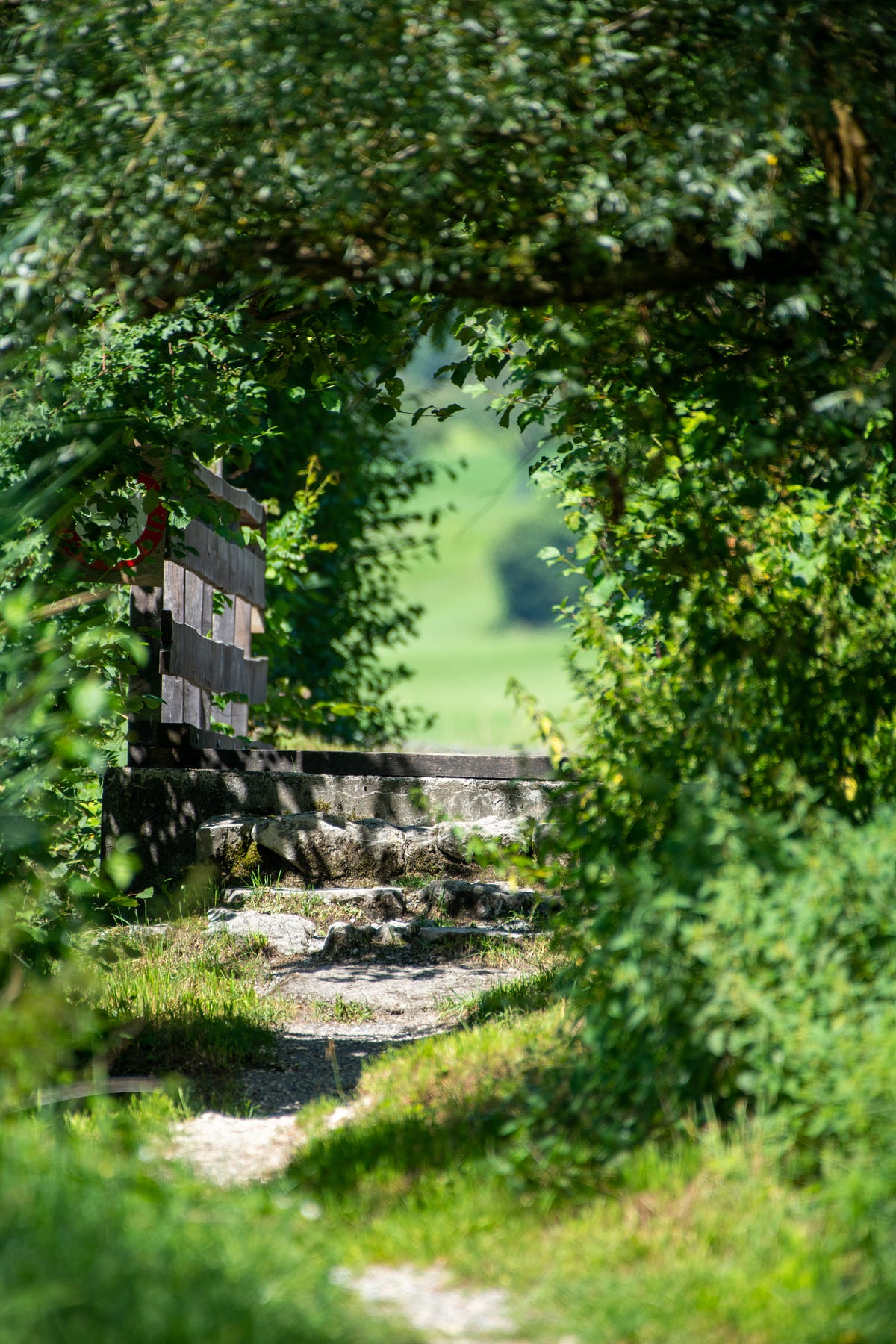 The spectacle and serenity of lawn maintenance. | by Philip Mann ...