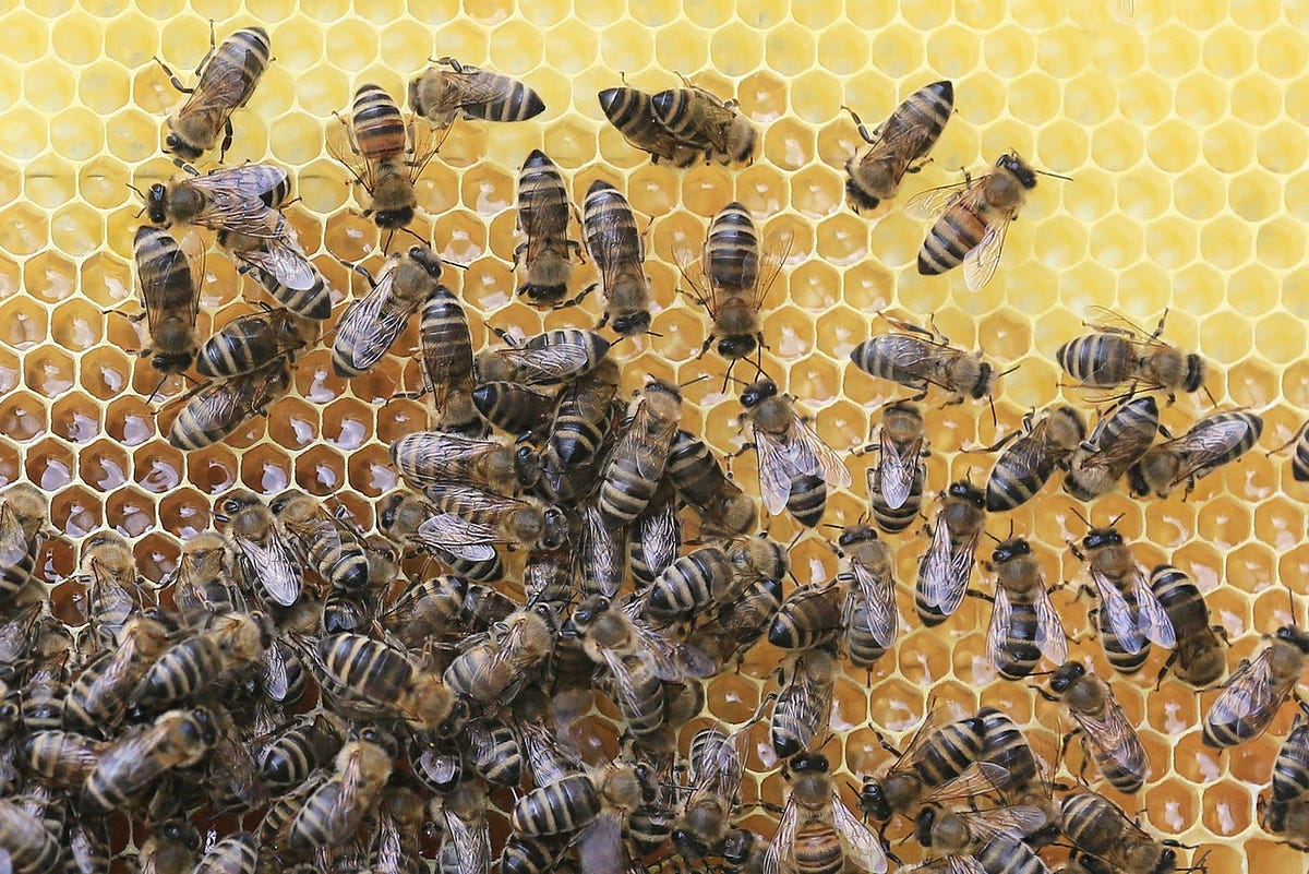 How to get better at delegating: use CPORT | by ThenSomehow ...