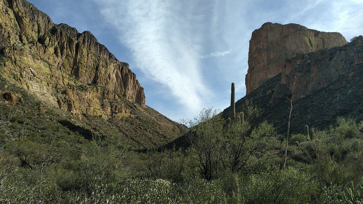A Constant Exploration. For me, Life is Exploration. And maybe… | by ...