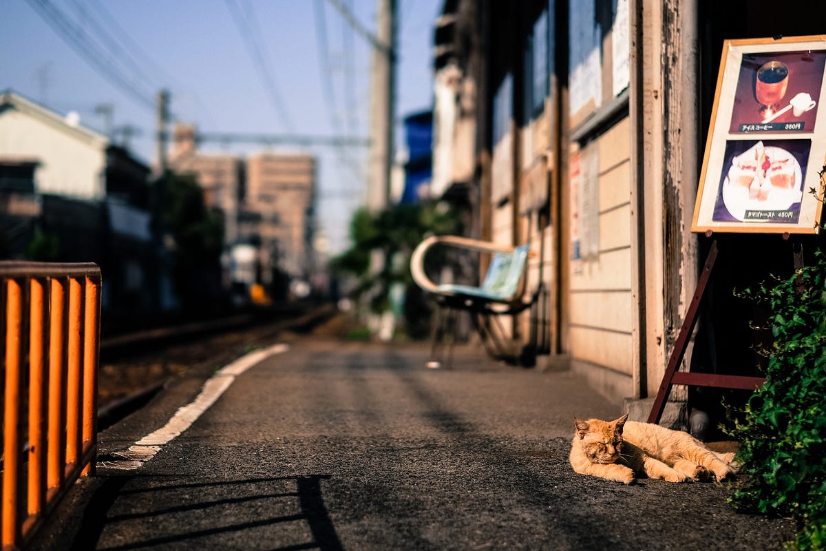 The most dangerous area in Japan. I realized it’s not bad to live and ...