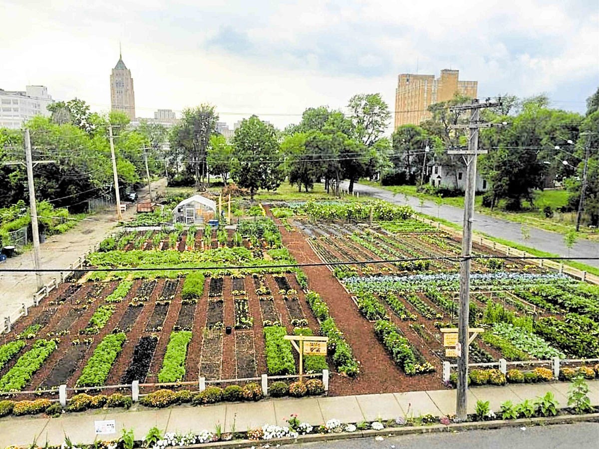 Revisiting Detroit’s First “Agrihood” or Sustainable Urban Farm | by ...