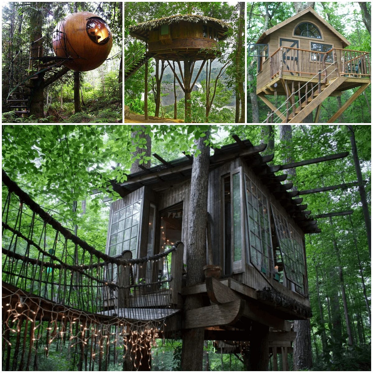 20 Amazing Tree houses You’ve Ever Seen In Your Life | by Architectures ...