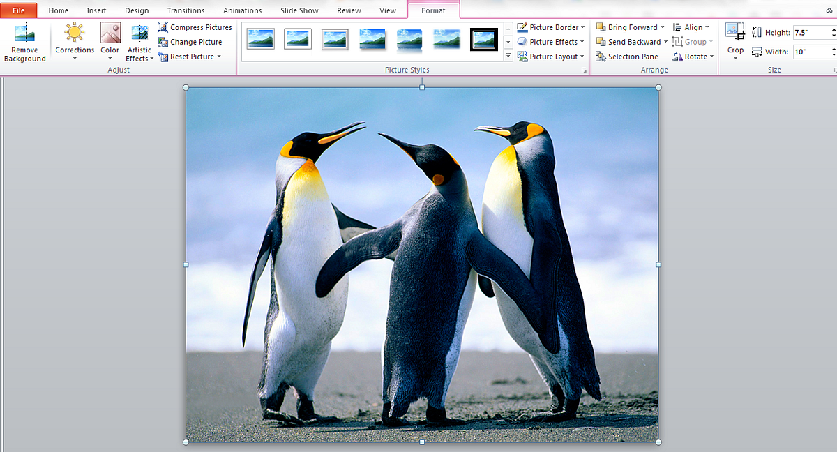 How Does Remove Background Work In Power point. | by Mahiuddin Sharif ...