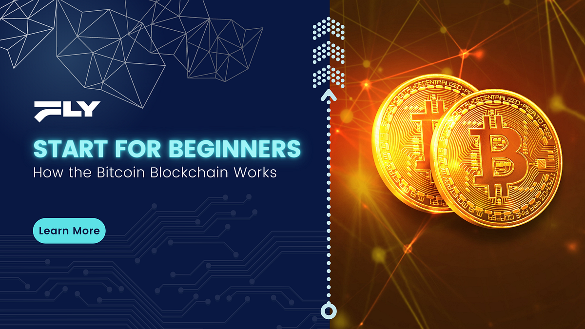 Start for Beginners. How the Bitcoin Blockchain Works | by FLY Labs ...