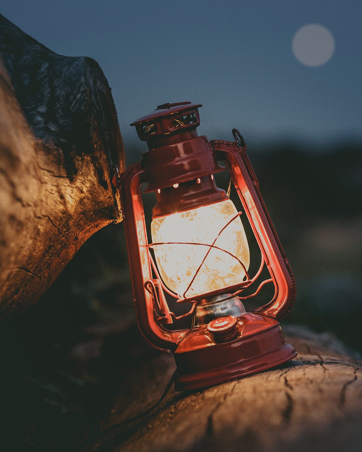 I Am With You. “It’s going to be all right, sir,”… | by Smarika Gurung | Medium