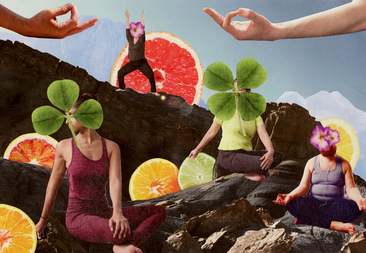 Yoga Assembly: an experiment in applying Enrol Yourself’s unique ...