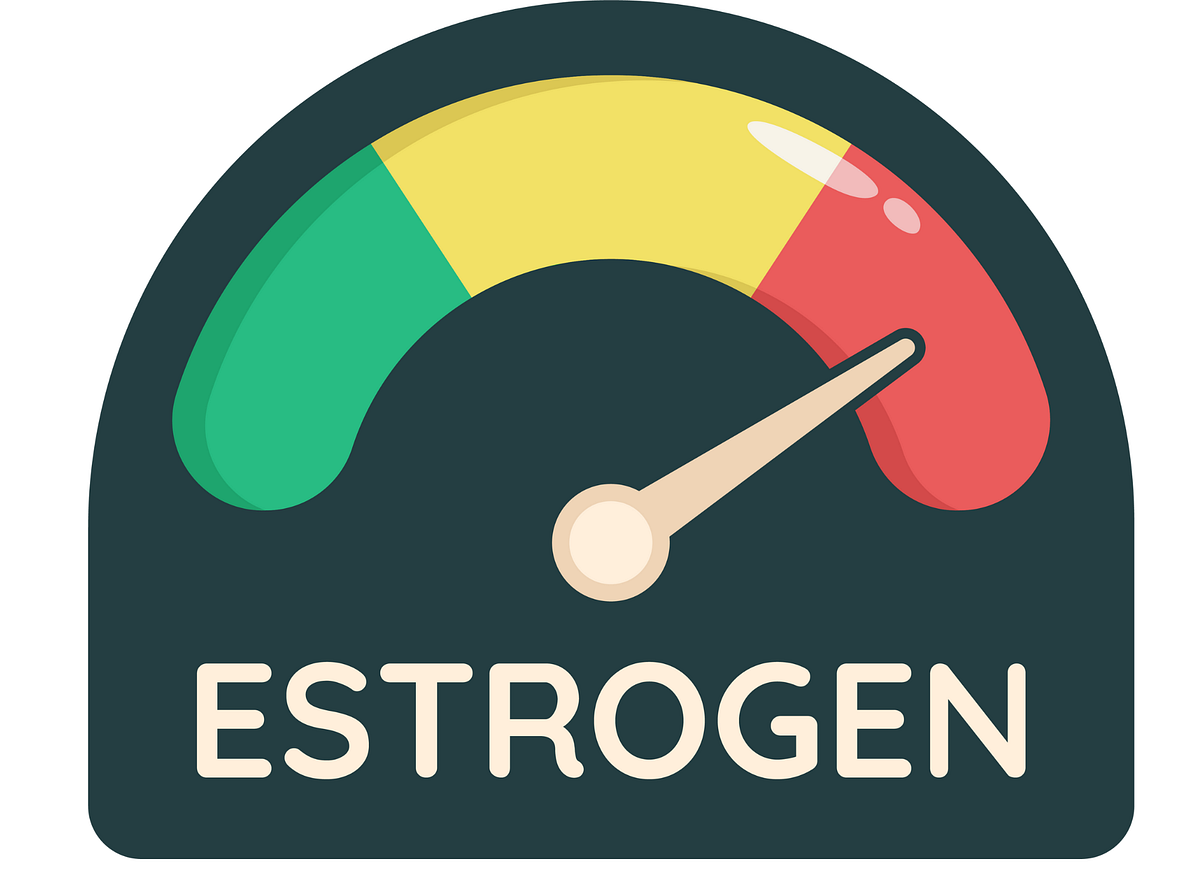 Estrogen Dominance Explained: What Many Women Are Experiencing Without ...