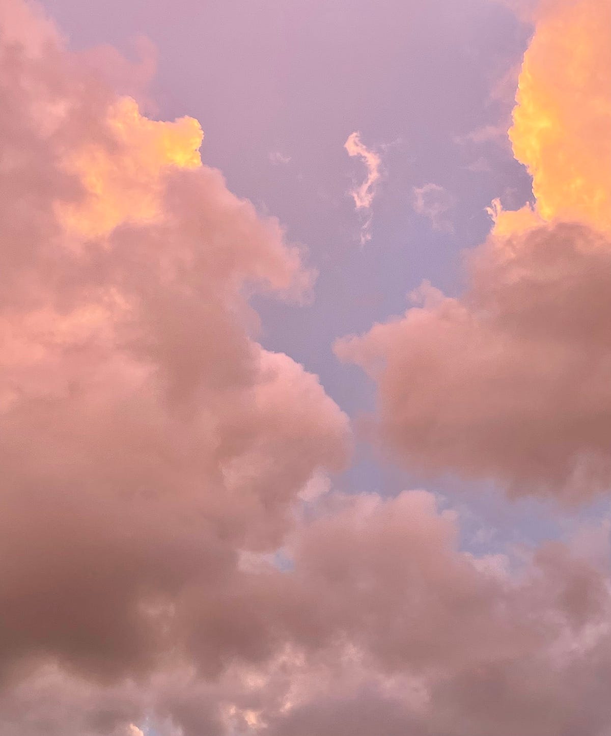 Ode to change makers. The more you learn, the more you… | by Delfina ...