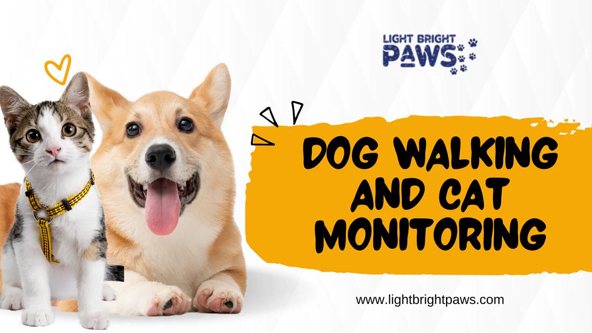 Step into the Future of Dog Walking and Cat Monitoring with Light Bright Paws - Light Bright ...
