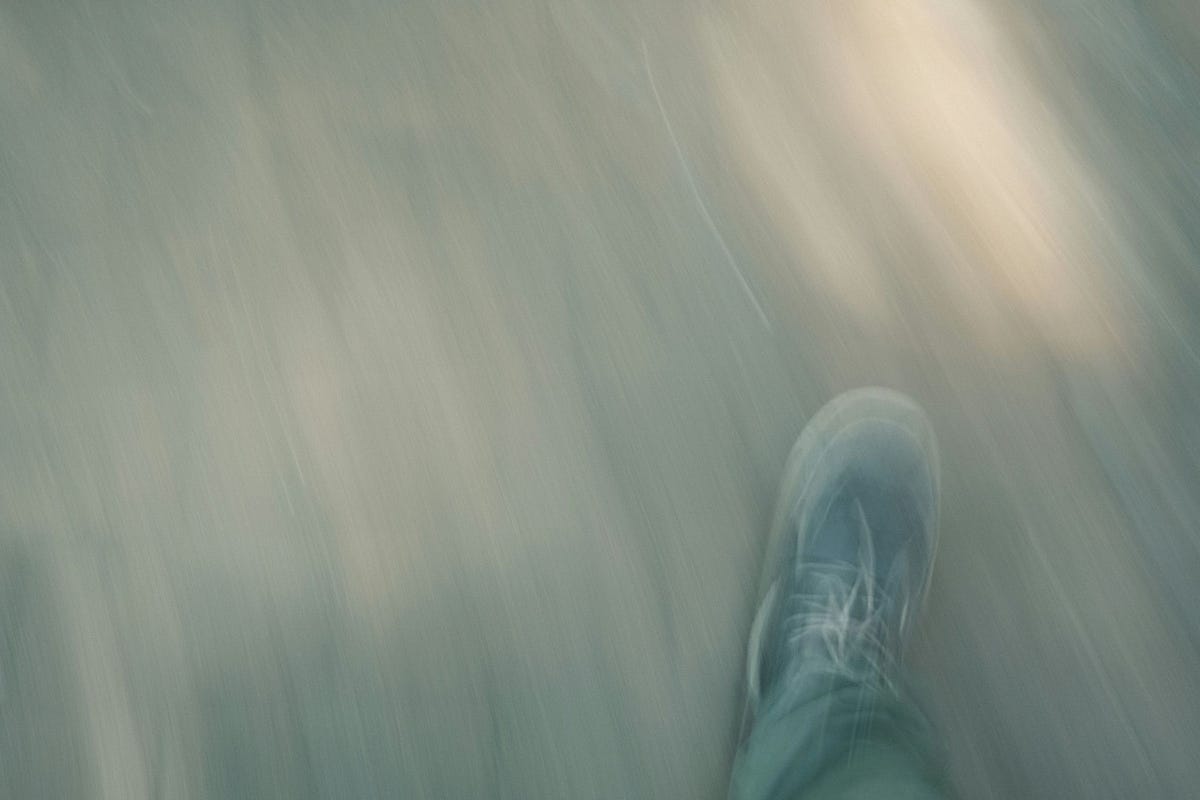 What Forest and Poseidon Taught Me | by Elizabeth Estabrooks | Age of ...