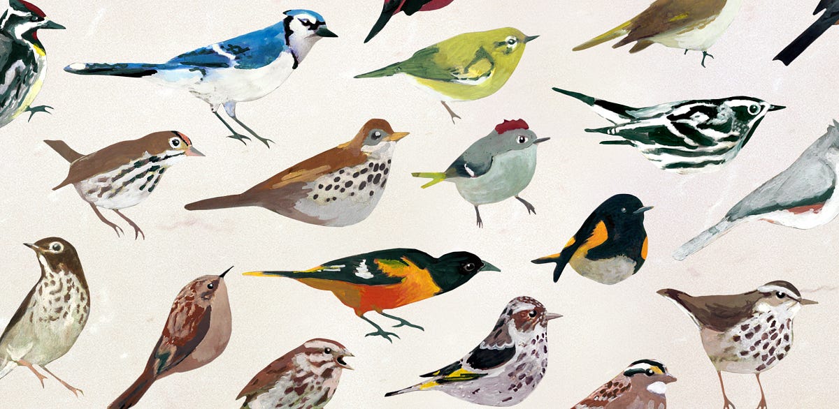 Introducing Dawn Chorus. A museum-based alarm clock app… | by Sam ...