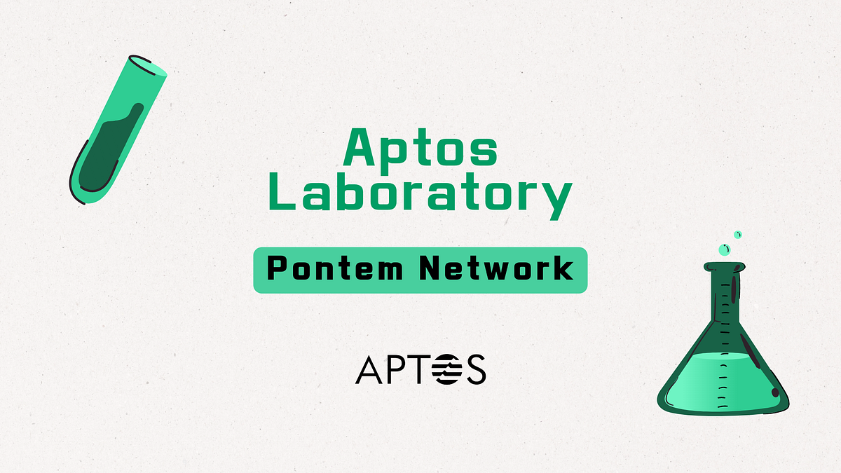 Pontem Network review.. The Genesis of Pontem Network 🚀 | by ...