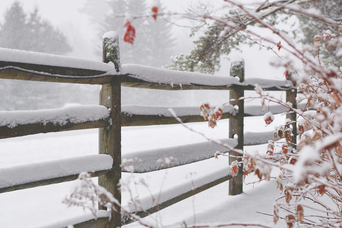 I Need To Befriend December. Winter is here | by Sue Banerji | Scribe | Dec, 2024 | Medium