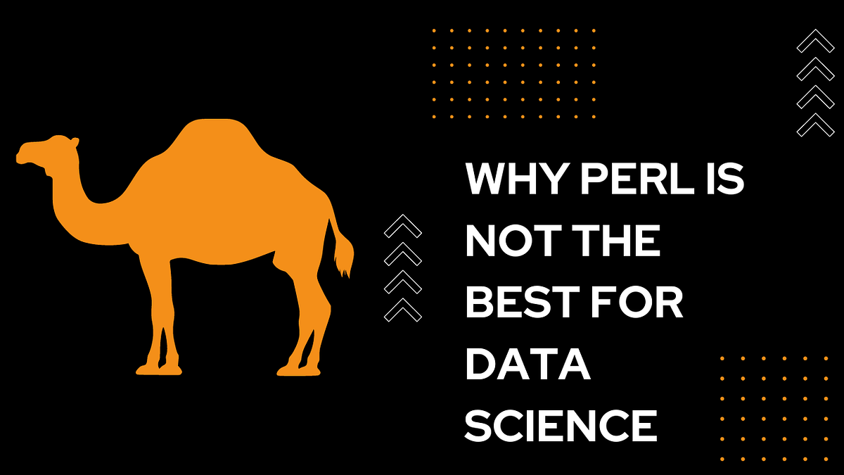 Why Perl is Not the Best for Data Science | The Code Compass