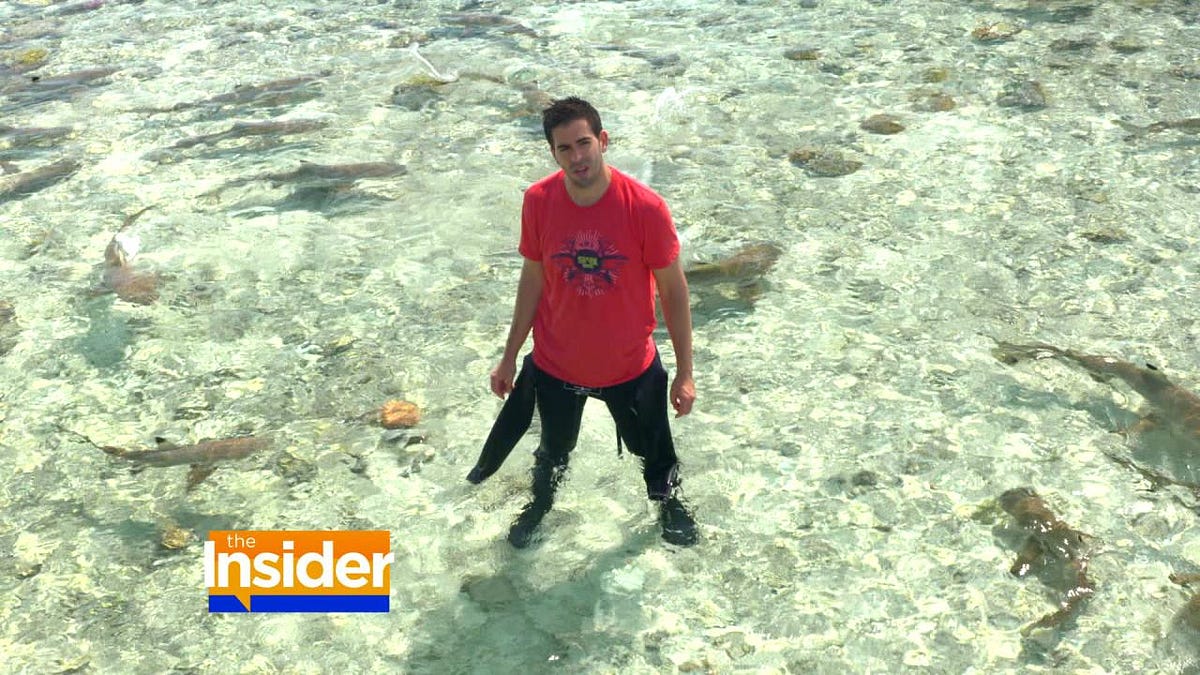 Behind the Scenes of Discovery Channel’s Shark Week | by Olivia ...