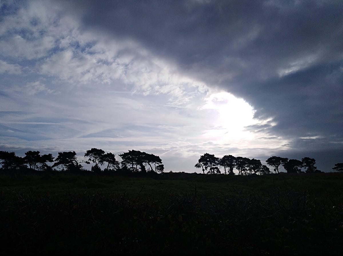 Sunday, Nature Finds A Way. a gratitude poem | by Chantelle Atkins ...