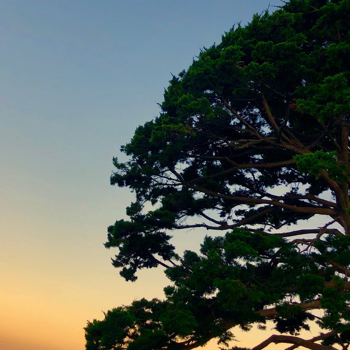 ~ Quintessence ~. At dawn before the world has risen, the… | by Vincent ...