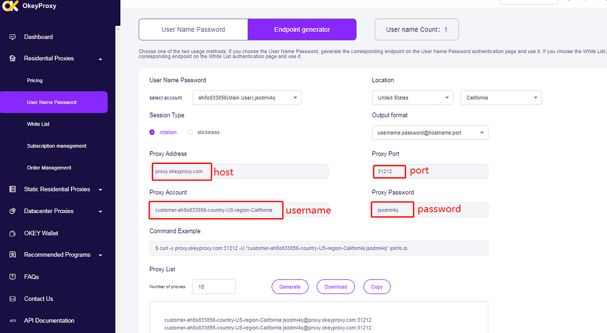 Setting Up Postman API to Use Proxy | by OKeyProxy - Nicole Cliton | Medium