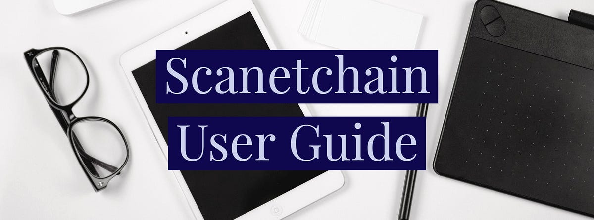 Scanetchain User Guide. A short guide on how to use the… | by Inxight | Medium