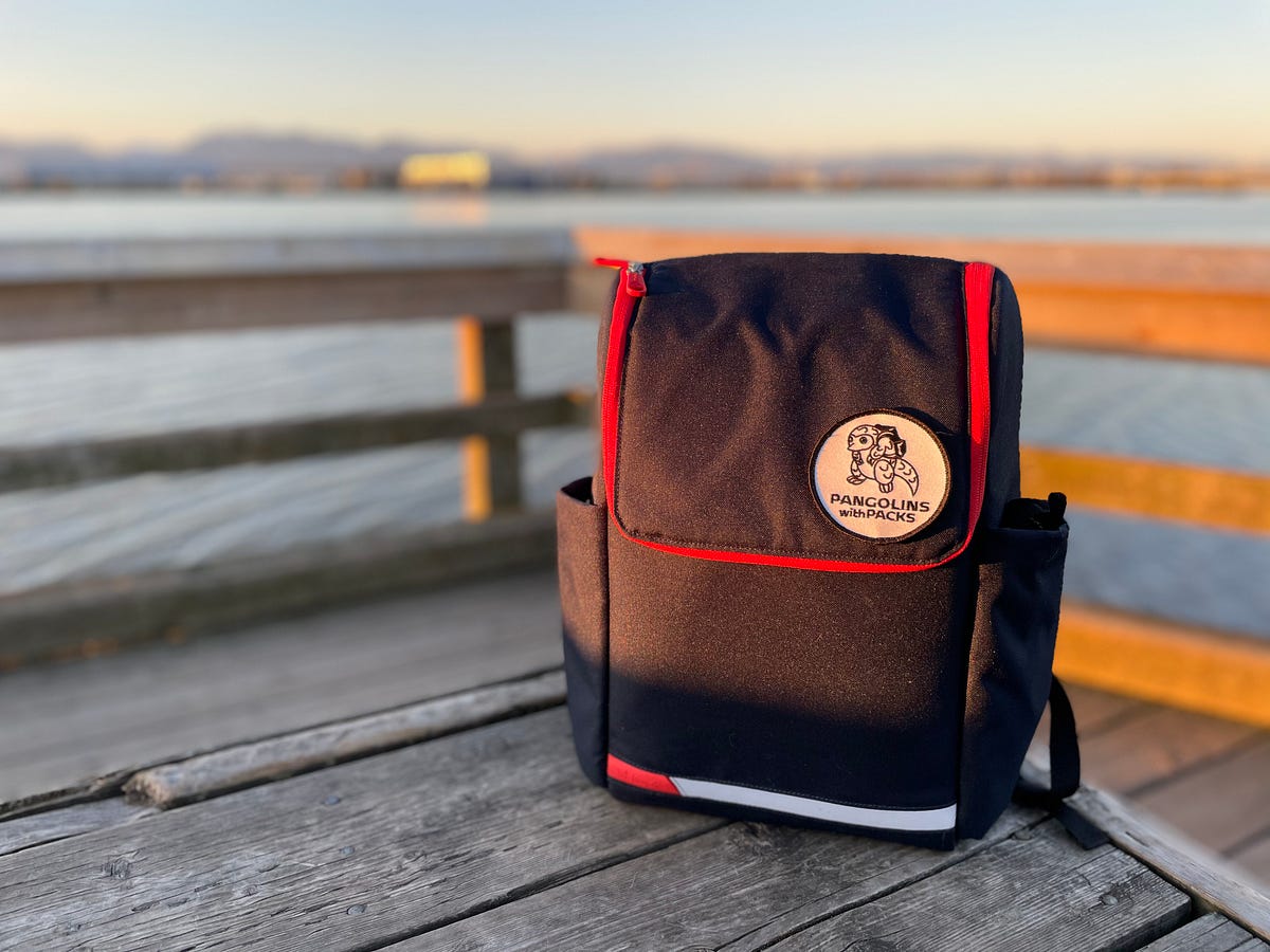 Tinipak: Modular School Backpacks for Kids (Initial Impressions Review ...