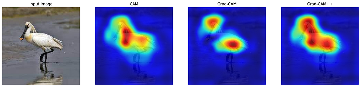 Visualizing how CNN thinks: CAM, Grad-CAM, Grad-CAM++ | by Tanishq Sardana | Medium