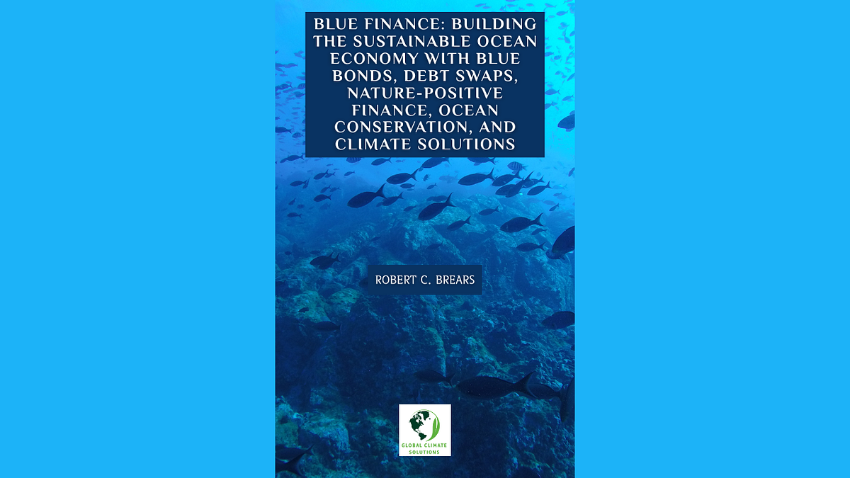 Blue Finance: Building the Sustainable Ocean Economy with Blue Bonds ...
