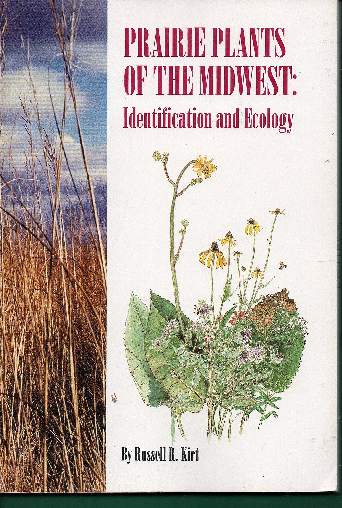 [BOOKS] Prairie Plants of the Midwest: Identification and Ecology | by ...