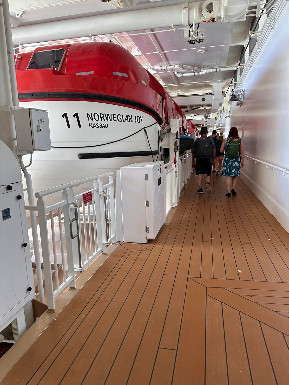 Cruising with MS: How I Navigated My First Cruise on the Norwegian Joy ...