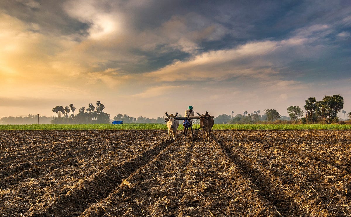Here’s Why We Need Young People on India’s Farms | by Young India ...