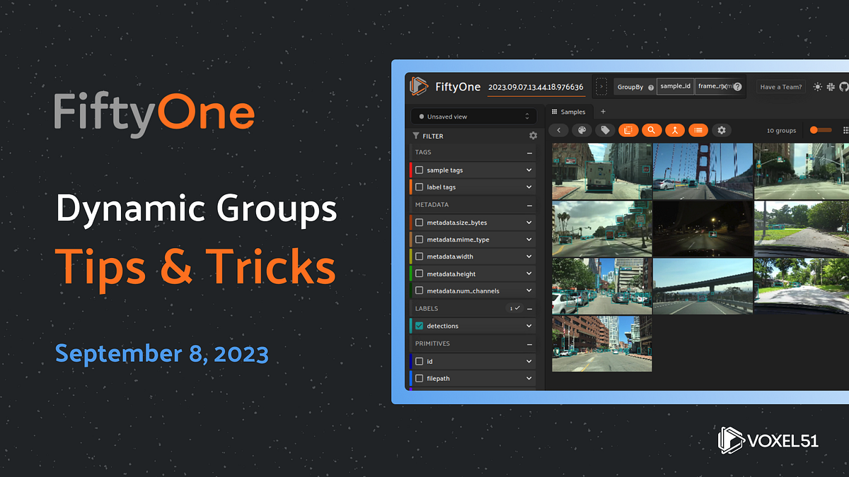 Dynamic Groups — FiftyOne Tips and Tricks — Sep 8, 2023 | by Daniel ...