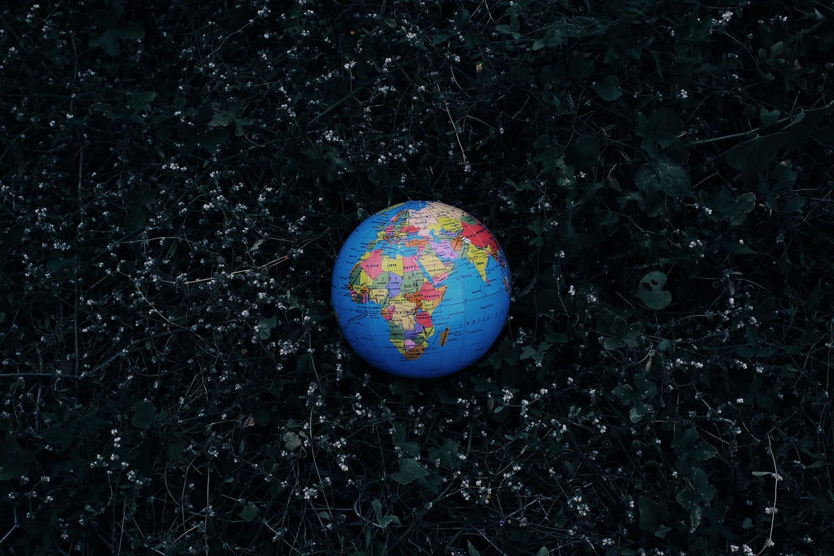 The World We Live In Free Essay Example | by WritingUniverse | Medium
