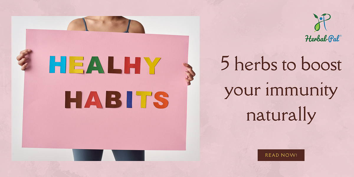 5 herbs to boost your immunity naturally | Medium