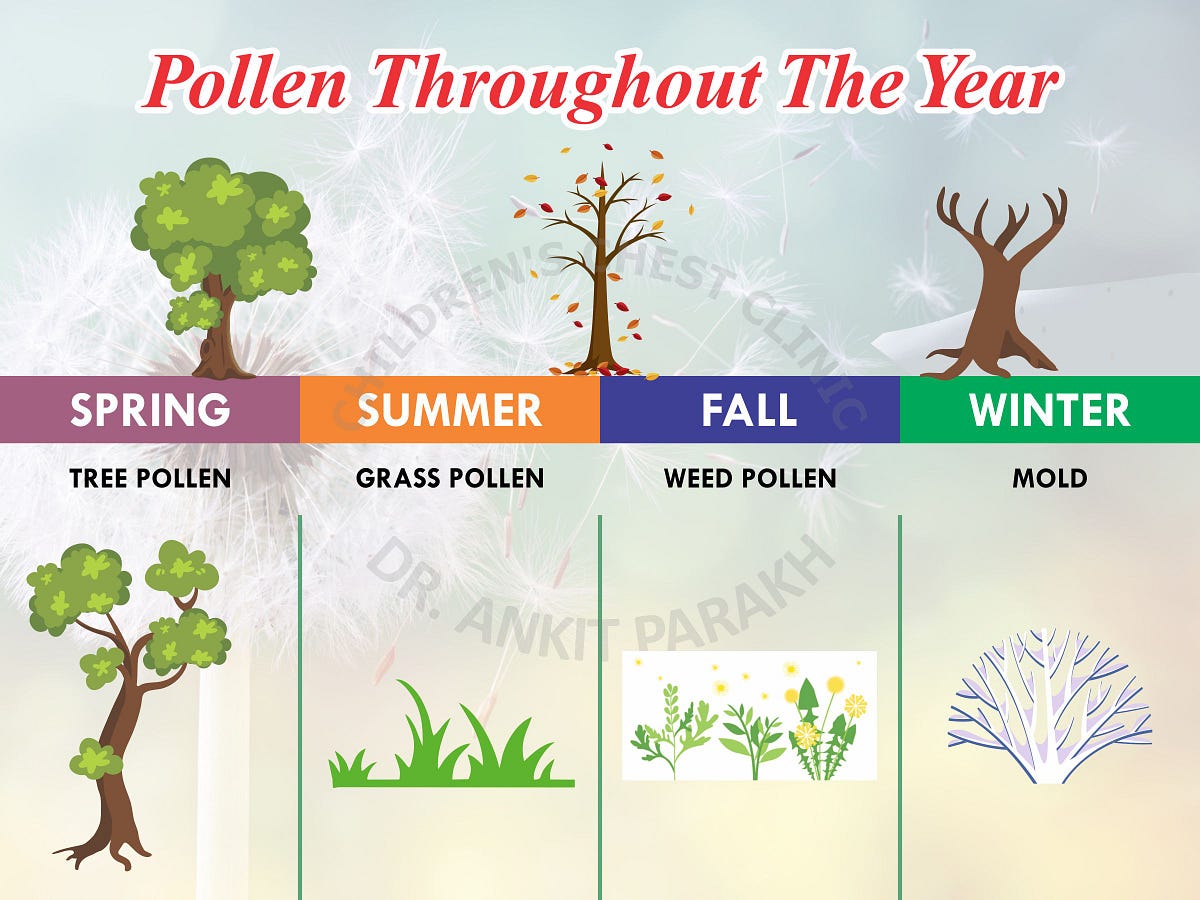 Title: Understanding and Managing Pollen Allergies | by Saghir Aslam ...