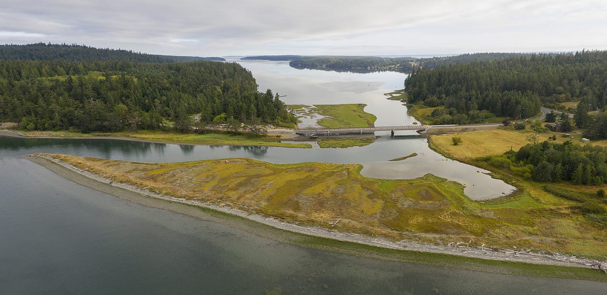 Investing in habitat restoration to benefit fish, wildlife, and people ...
