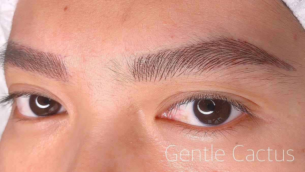 Frequently Asked Questions. For Eyebrow by Gentle Cactus. | by Gentle ...
