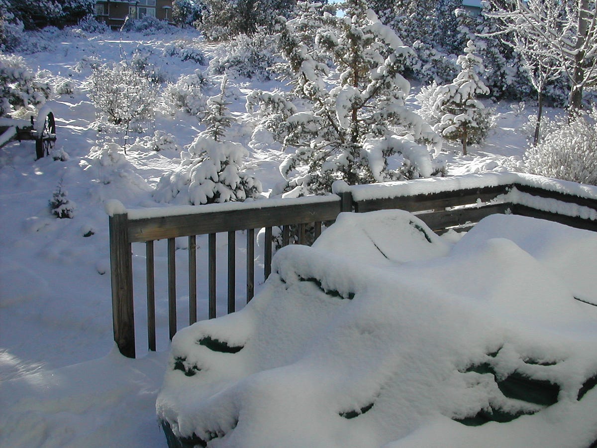 Snow Day. Photo by author | by James Jaqua | Medium