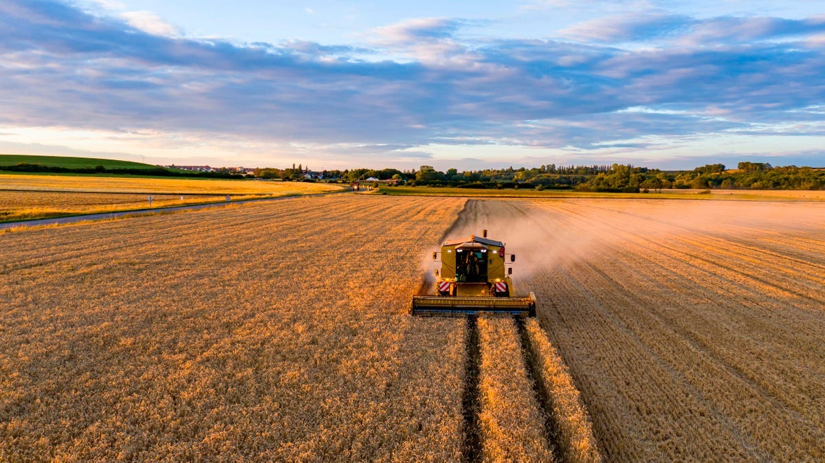 What is Harvesting?. Harvesting is the term used to describe… | by ...