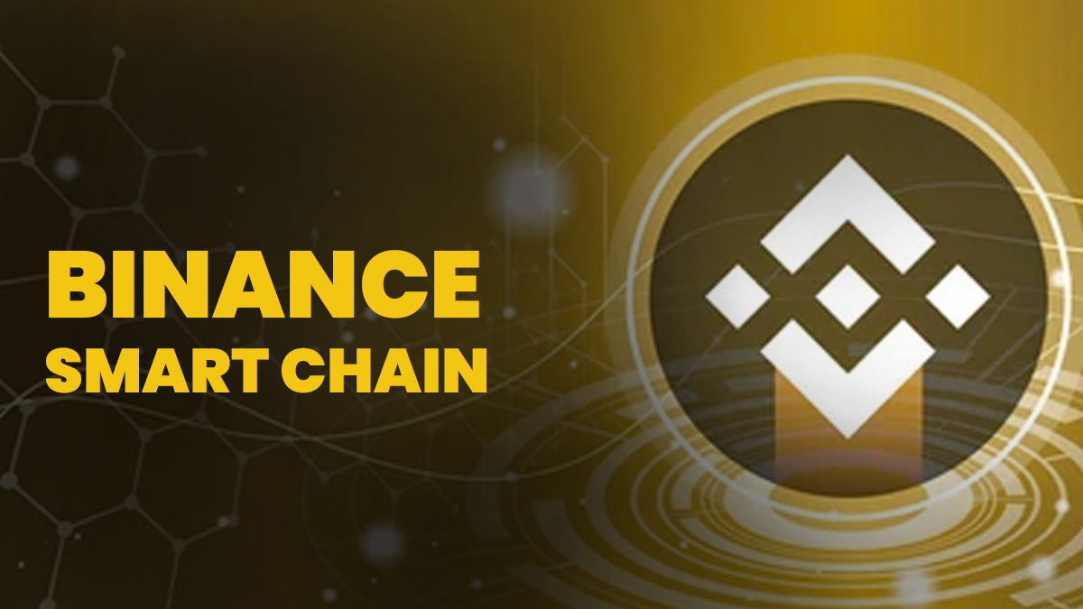 Unraveling the Binance Smart Chain and its Role on CAUSE | by World ...