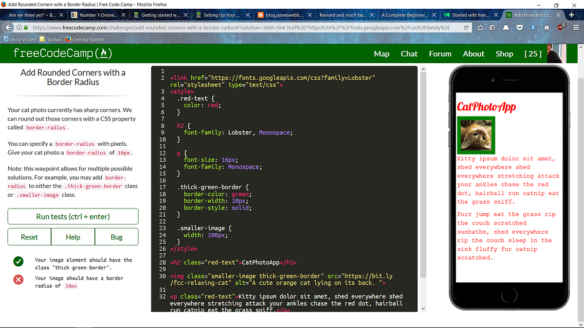 freeCodeCamp going on basics. I really liked how freeCampCode is… | by ...
